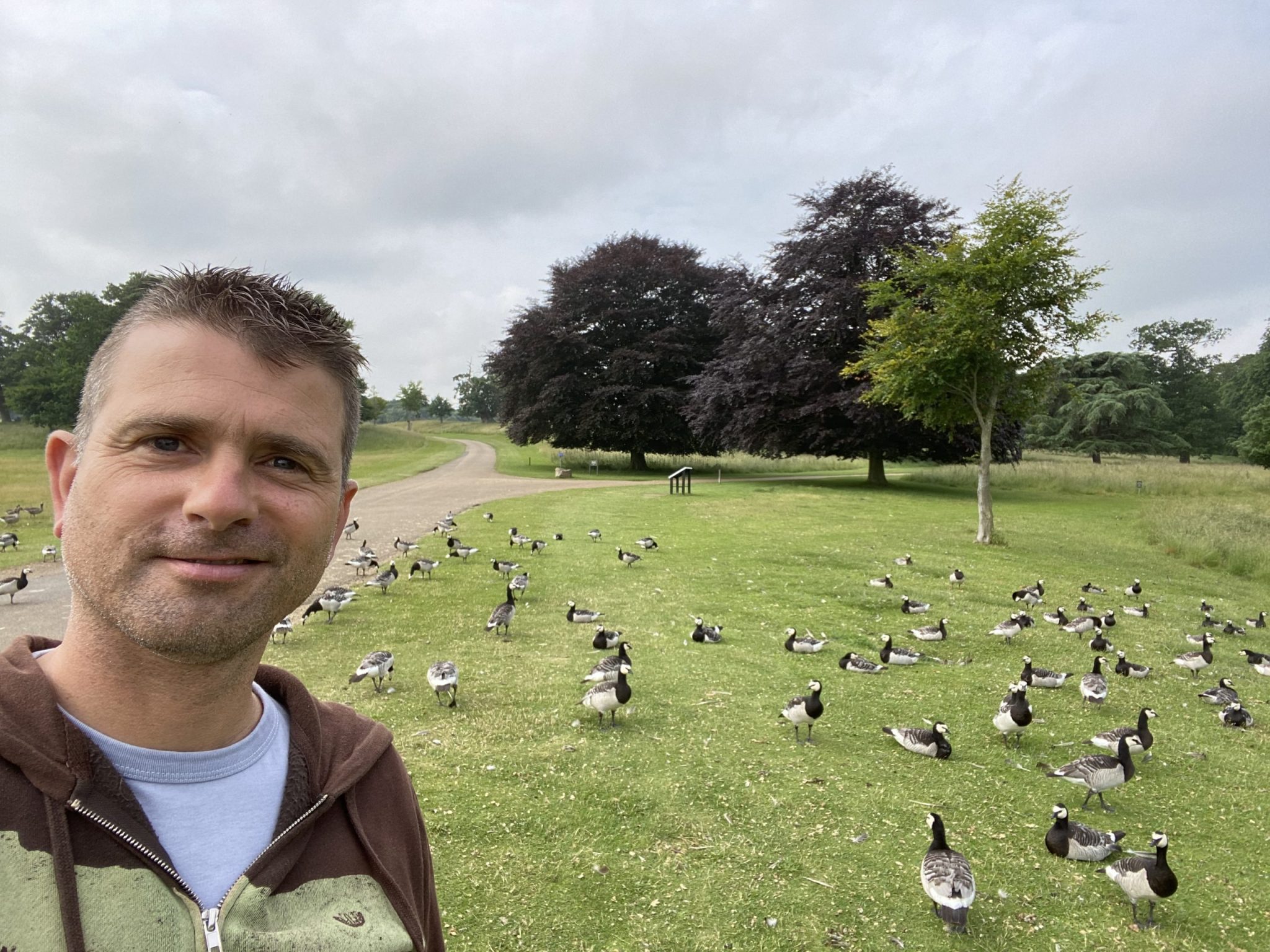 More than a wild goose chase – North Norfolk Living